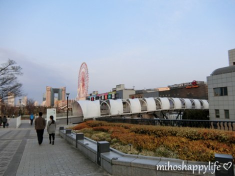 Japan: Odaiba | Miho's Happy Life