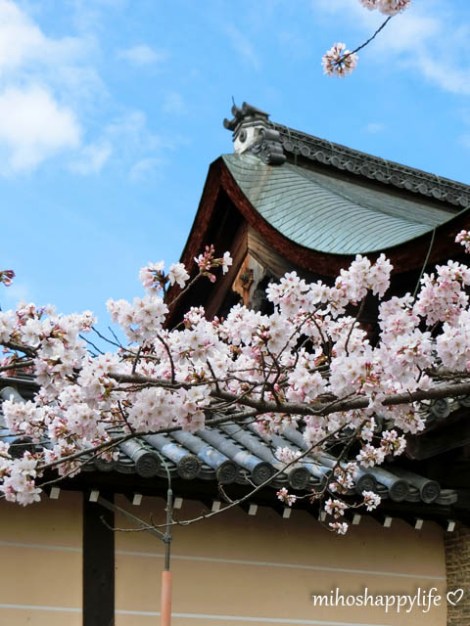 Spring in Japan: Kyoto | Miho's Happy Life