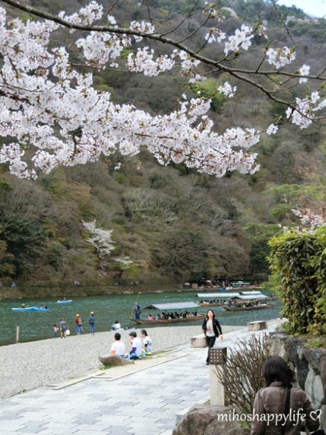 Spring in Japan: Kyoto | Miho's Happy Life
