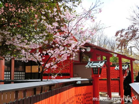 Spring in Japan: Kyoto | Miho's Happy Life