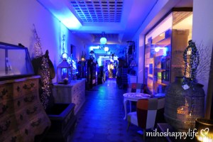 Murten Licht-Festival 2020 | Miho's Happy Life