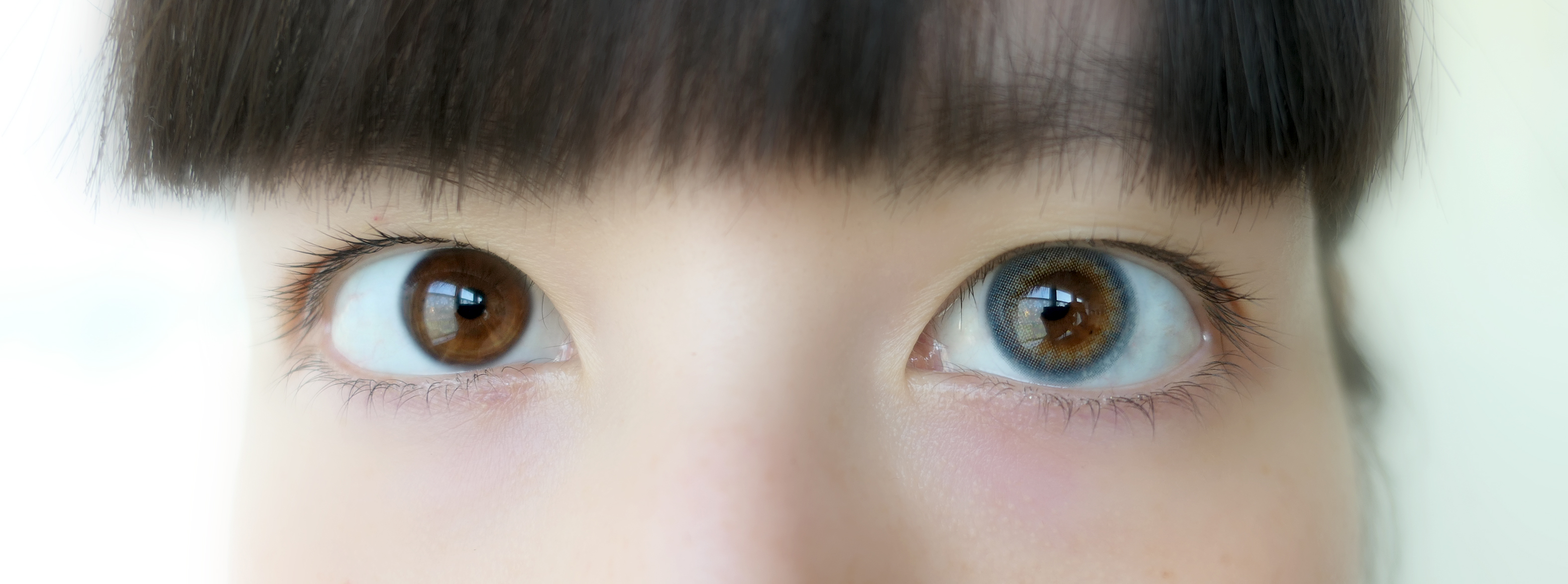 Gothic Lolita Twinning | Miho's Happy Life