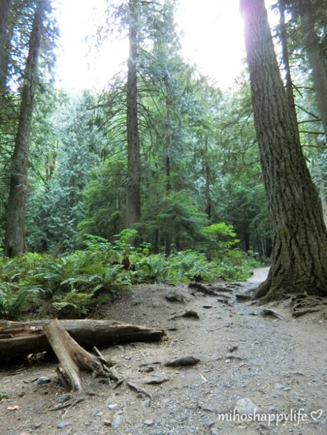 Topdeck Tour: Kelowna – Golden Banff | Miho's Happy Life