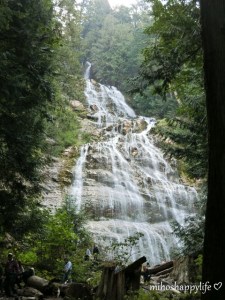 Topdeck Tour: Kelowna – Golden Banff | Miho's Happy Life