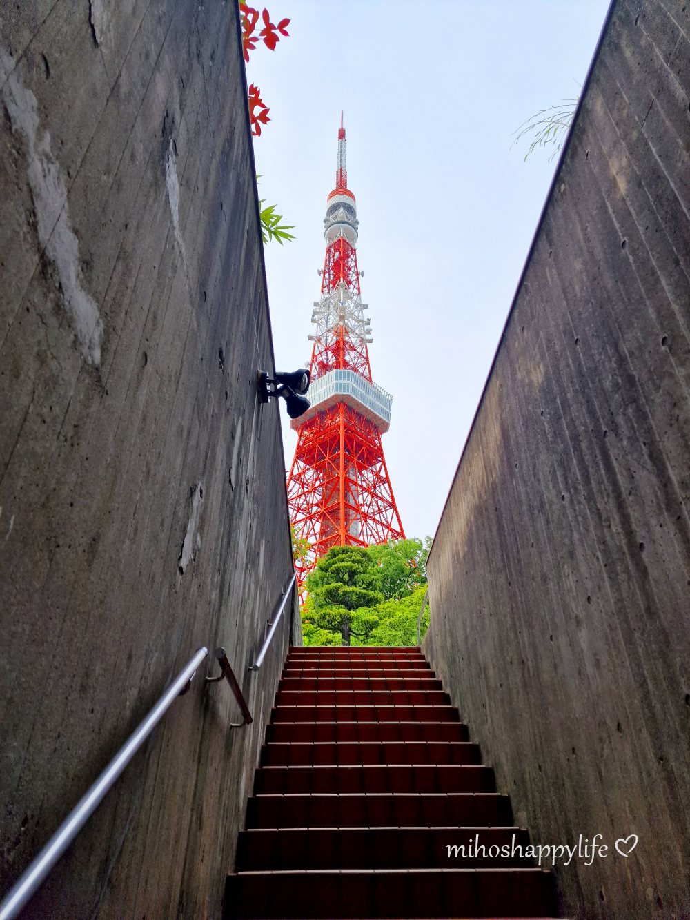 Take Instagrammable Tokyo Tower Pictures! Secret Photo Location in ...