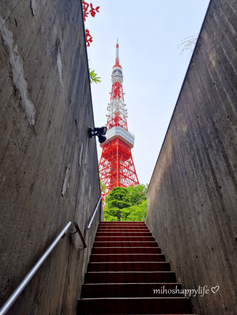 Take Instagrammable Tokyo Tower Pictures! Secret Photo Location in ...