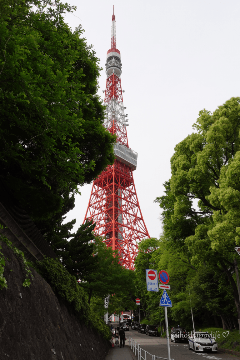 Take Instagrammable Tokyo Tower Pictures! Secret Photo Location in ...