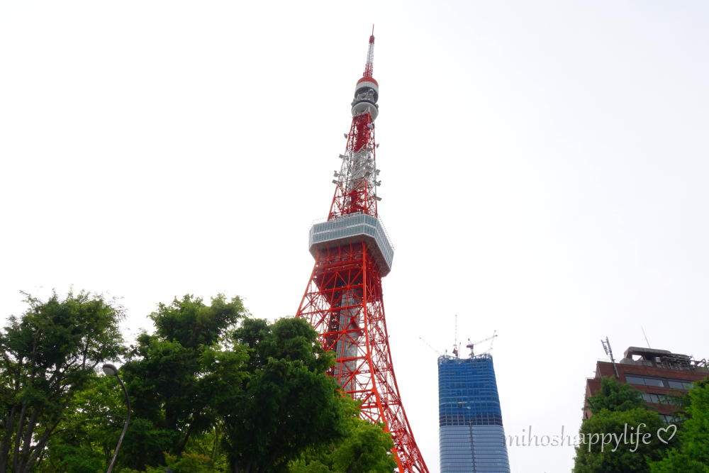 Take Instagrammable Tokyo Tower Pictures! Secret Photo Location in ...