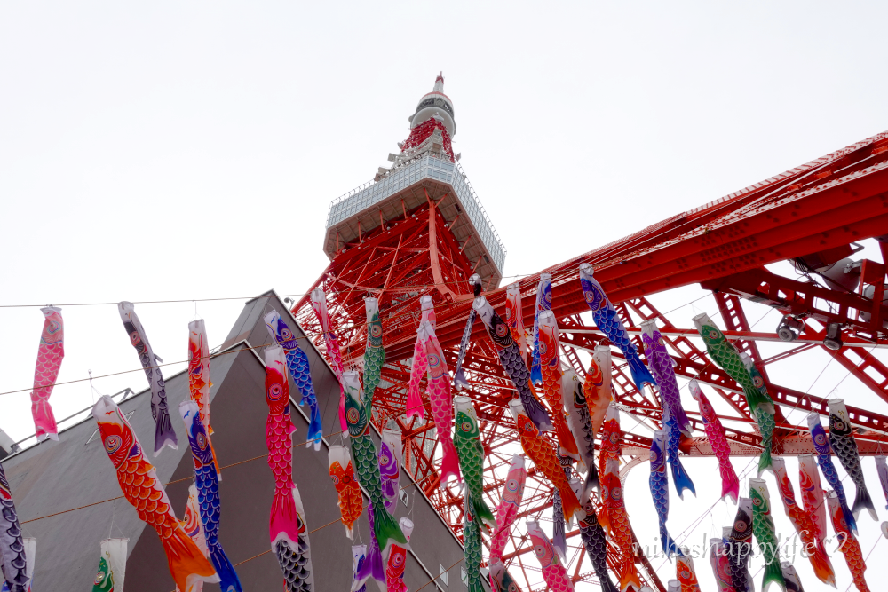 Take Instagrammable Tokyo Tower Pictures! Secret Photo Location in ...