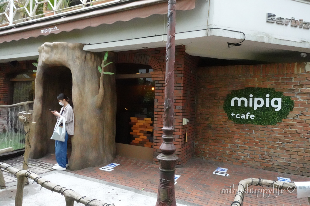 Have Coffee with cute micro Pigs | Mipig Cafe Harajuku Japan | Miho's ...