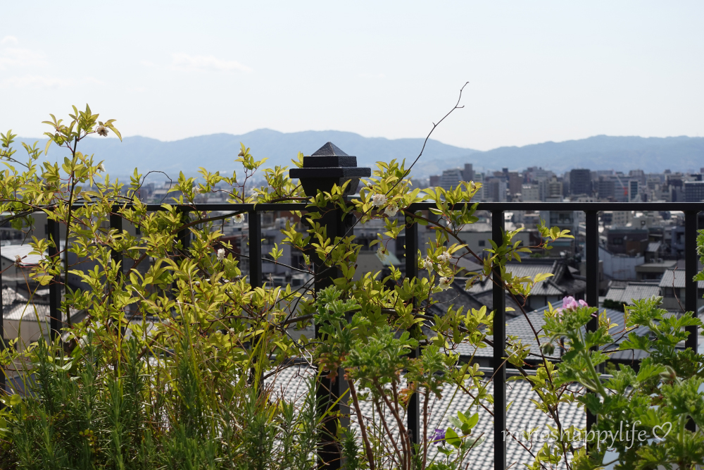 K36 Rooftop Bar Kyoto – best view of the Yasaka Pagoda (Hokan-ji Temple ...