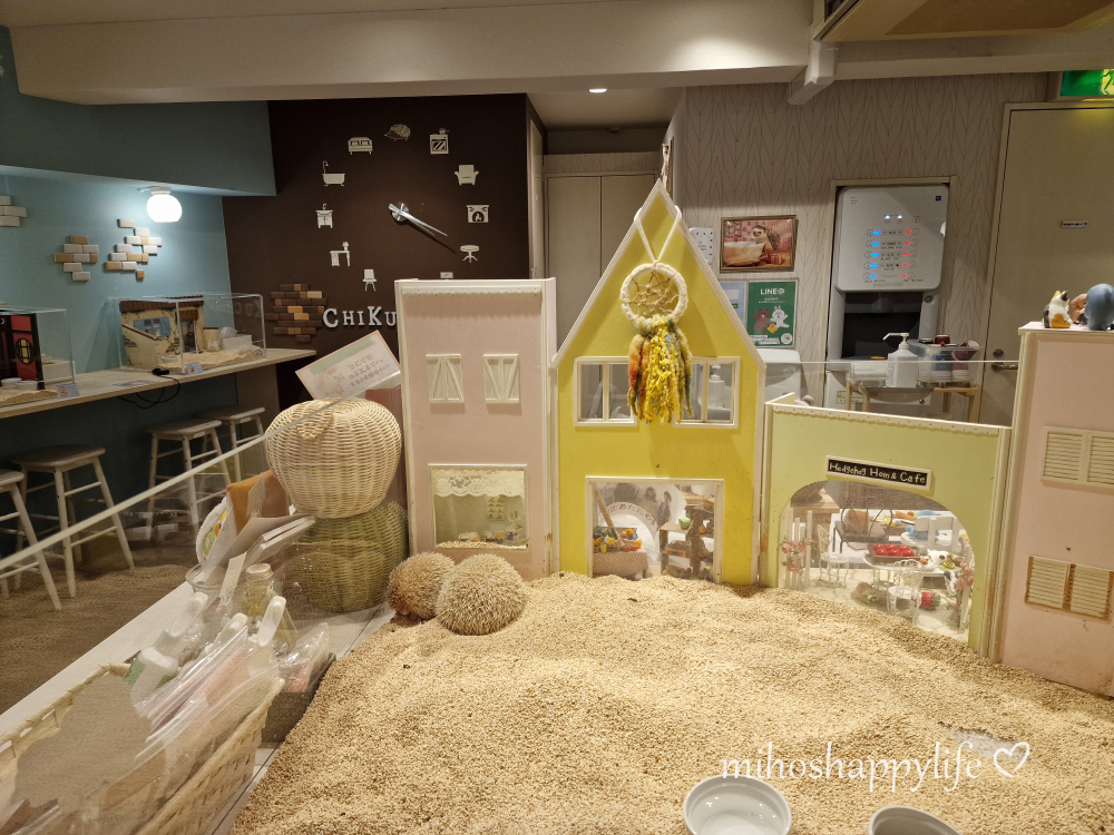 My first time at a Hedgehog Cafe! | Chiku Chiku Cafe Shibuya | Miho's ...