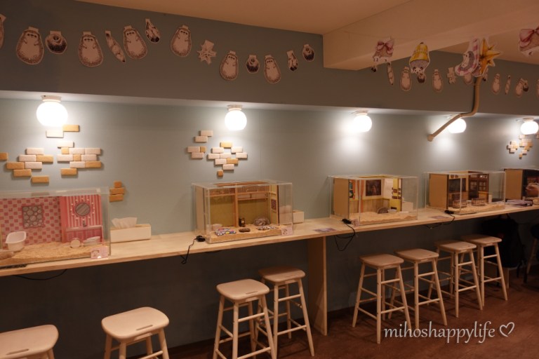 My first time at a Hedgehog Cafe! | Chiku Chiku Cafe Shibuya | Miho's ...