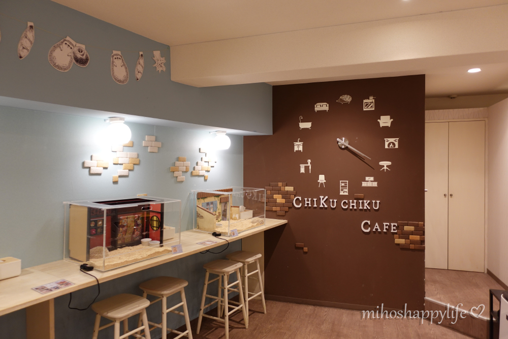 My first time at a Hedgehog Cafe! | Chiku Chiku Cafe Shibuya | Miho's ...