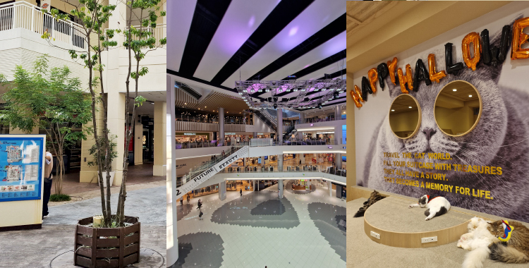 AEON Mall & Cat Café MOCHA Okayama | Mitsui Outlet Park Kurashiki ...