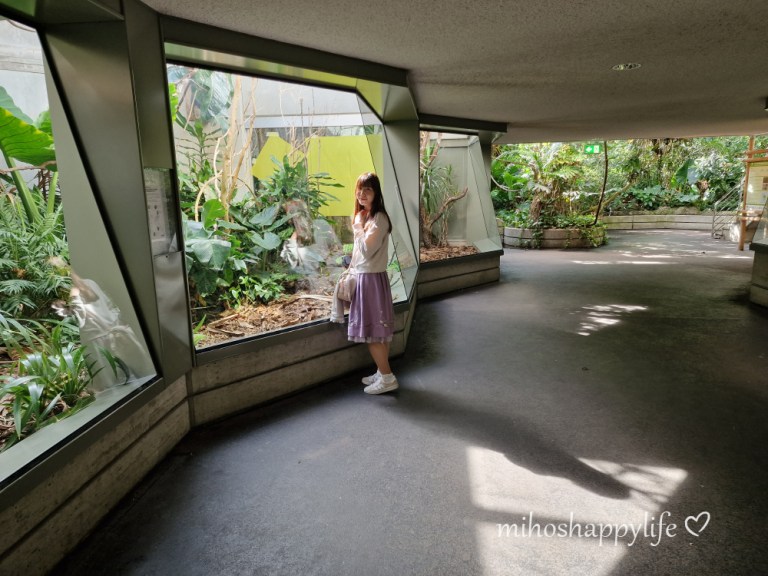 Zurich Zoo Switzerland | Masoala Rainforest, Elephant House, African ...