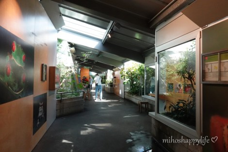 Zurich Zoo Switzerland | Masoala Rainforest, Elephant House, African ...