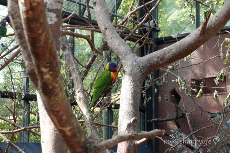 Zurich Zoo Switzerland | Masoala Rainforest, Elephant House, African ...