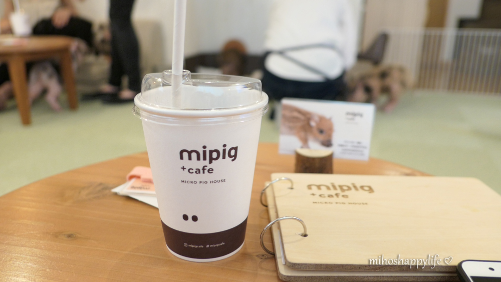 Mipig Cafe Meguro Japan | Coffee with Cute Mini Pigs | Miho's Happy Life