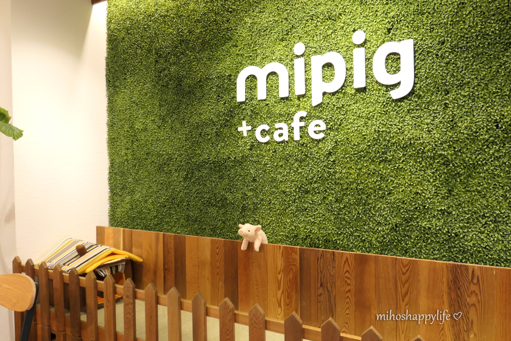 Mipig Cafe Meguro Japan | Coffee with Cute Mini Pigs | Miho's Happy Life