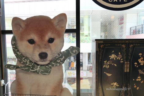 Mame Shiba Cafe Harajuku | Fluff, Fun and Furry Friends! | Miho's Happy ...