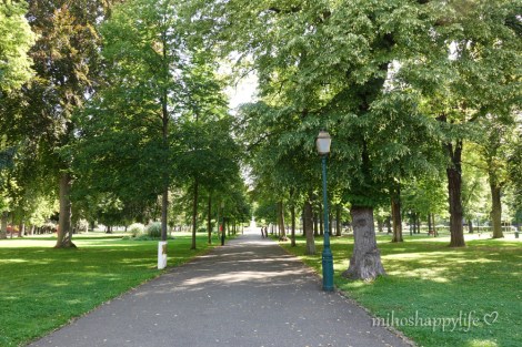 The City that inspired Howl’s Moving Castle | Colmar, France | Miho's ...