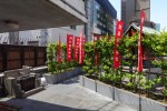 Real Life Anime Location Japan – Ginza | Weathering with You | Miho's ...
