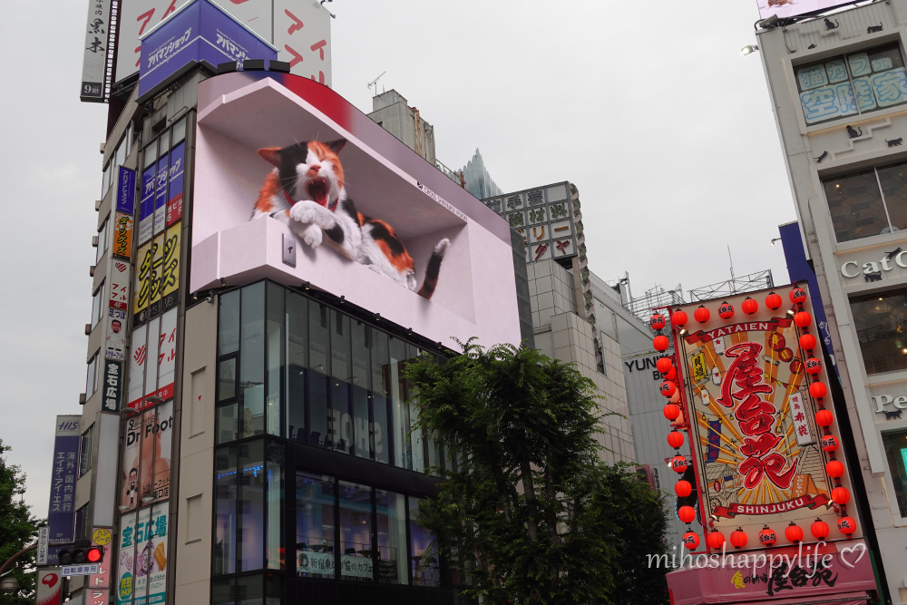 Real Life Anime Location Japan – Shinjuku | Jujutsu Kaisen | Miho's ...