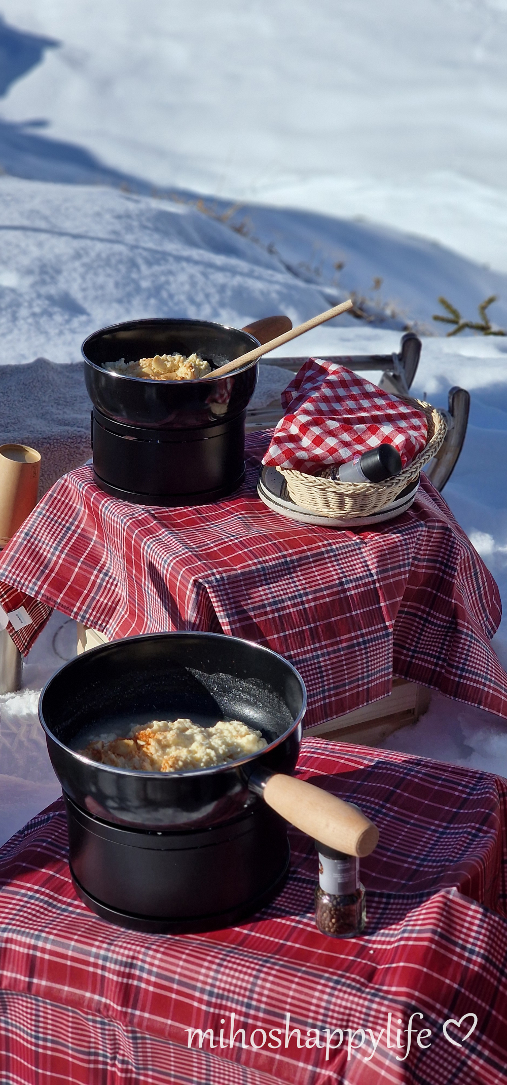 Fondue Sledge Experience in Switzerland | Fürenalp Engelberg | Miho's ...